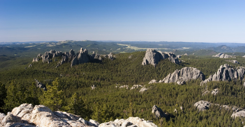 Black Hills - Red Road