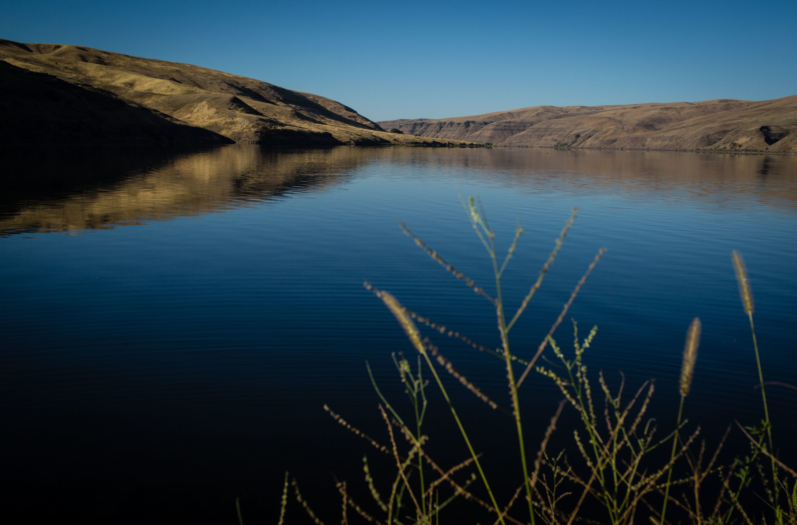 Free the Snake River - Red Road